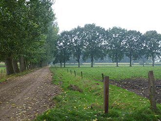 Rieme-Noord - Alle documenten