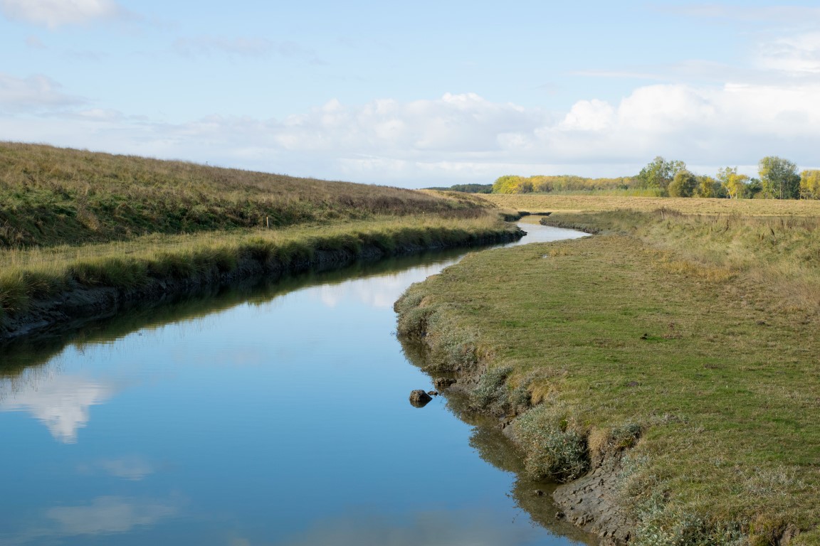 SALFAR | Vlaamse Landmaatschappij